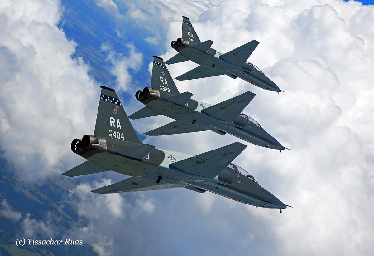 560th Flying Training Squadron: The Charging Cheetahs